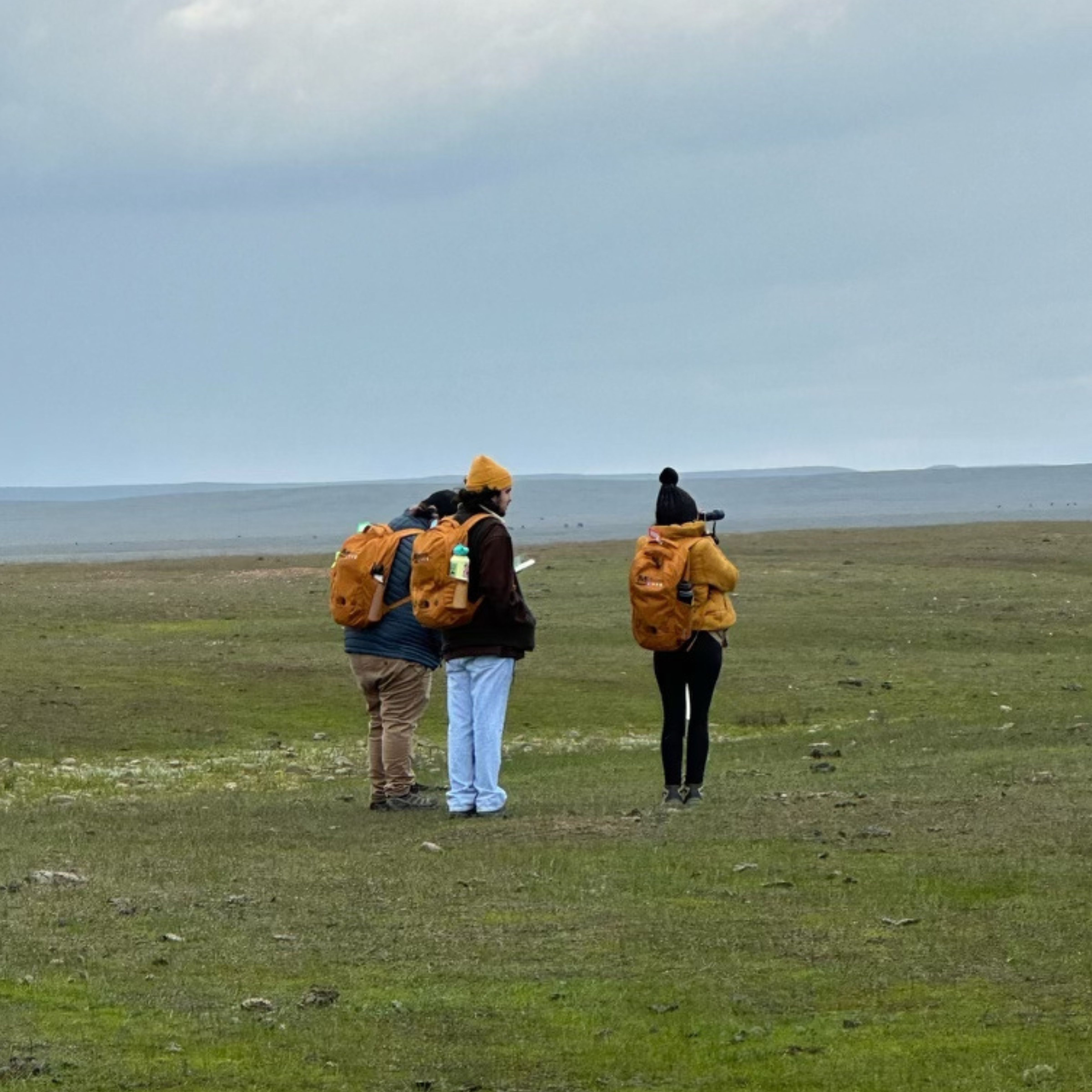 ¿field curious? | UC Merced Natural Reserve System